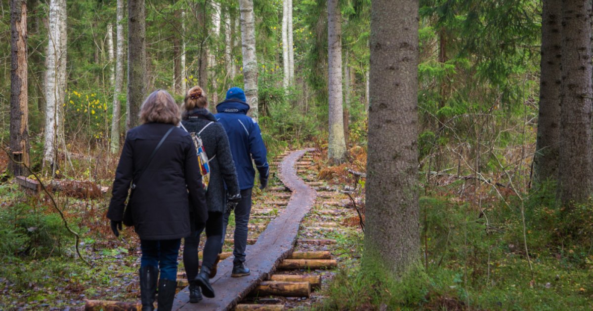 NY RAPPORT: Erfaringer med erfaringsmedarbeidere (Erfaringskompetanse ...