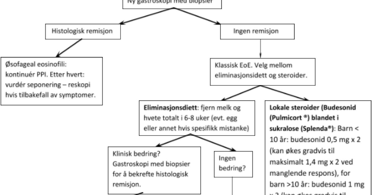 5.16 Eosinofil øsofagitt - Helsebiblioteket